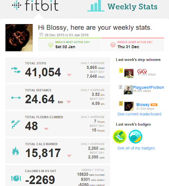 Blooming Lovely: Weekly Fitbit Summary 28 Dec 2015 - 3 Jan 2016