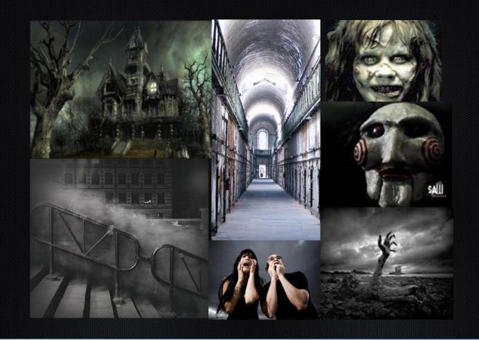 Foundation Portfolio