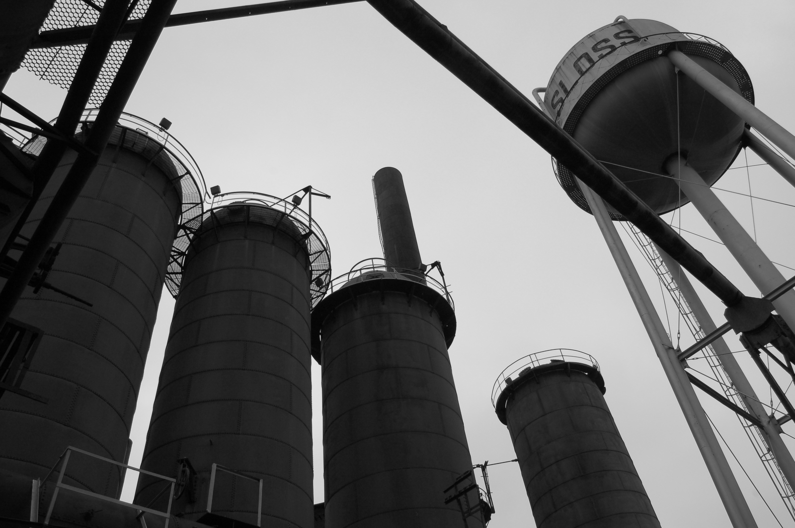 Vintage Bird: Sloss Furnace