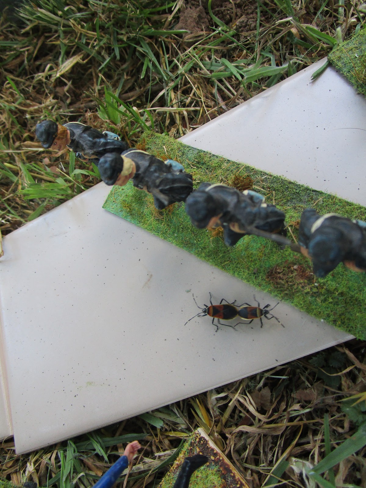 Gerolstein Invades Pan-Slavia