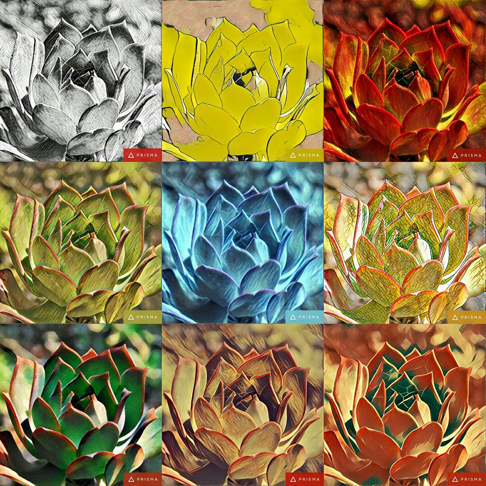 Collection of digitally created images- Part 1 - ICT portfolio