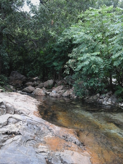 Tada Falls: Ultimate Trekking Destination | Tamil Nadu | Know Your ...