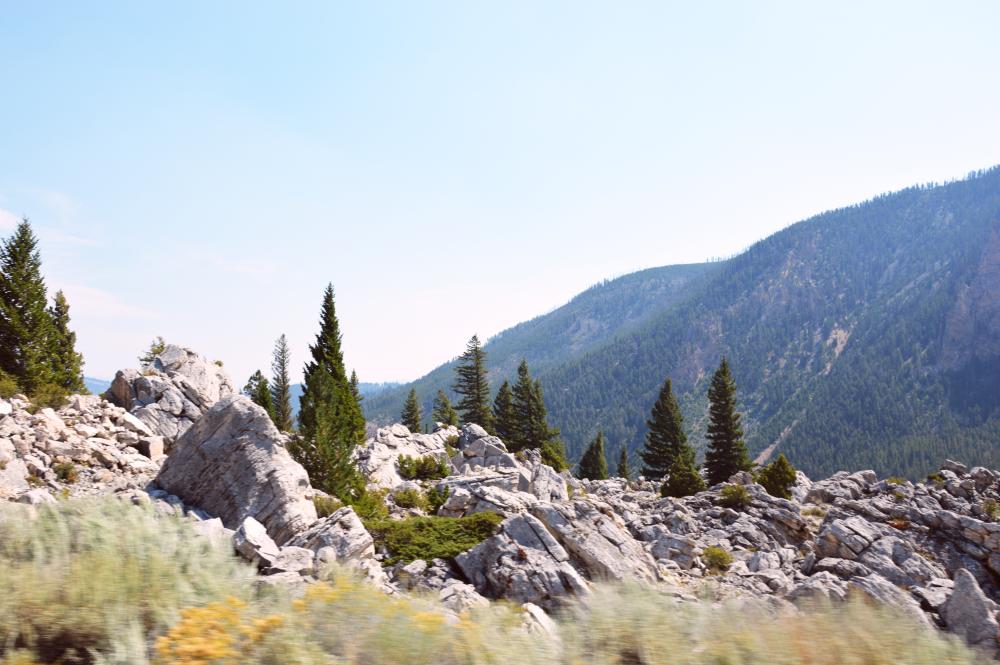 Yellowstone i Drive Thru | SO COLORS