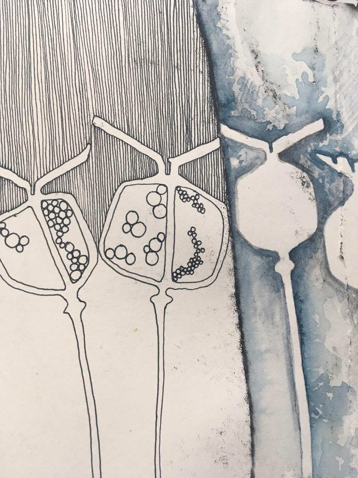 Monoprints with drawing