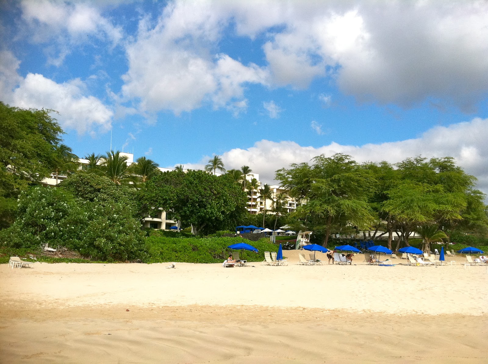 The Robinsons: The Big Island of Hawaii