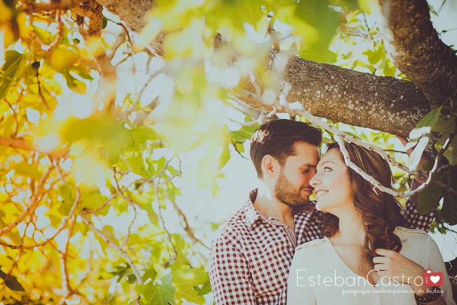 estebancastro fotógrafo: 2014