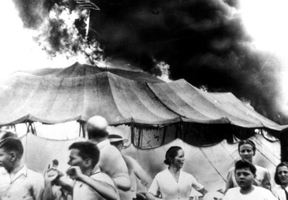 Phantoms and Monsters - Real Eyewitness Cryptid Encounter Reports