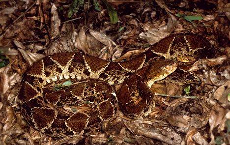 Naturaleza asombrosa, maravillas naturales: 8 may 2012