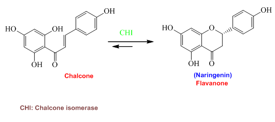 Chitra Karina Dewi: The Biosynthesis of Flavonoids