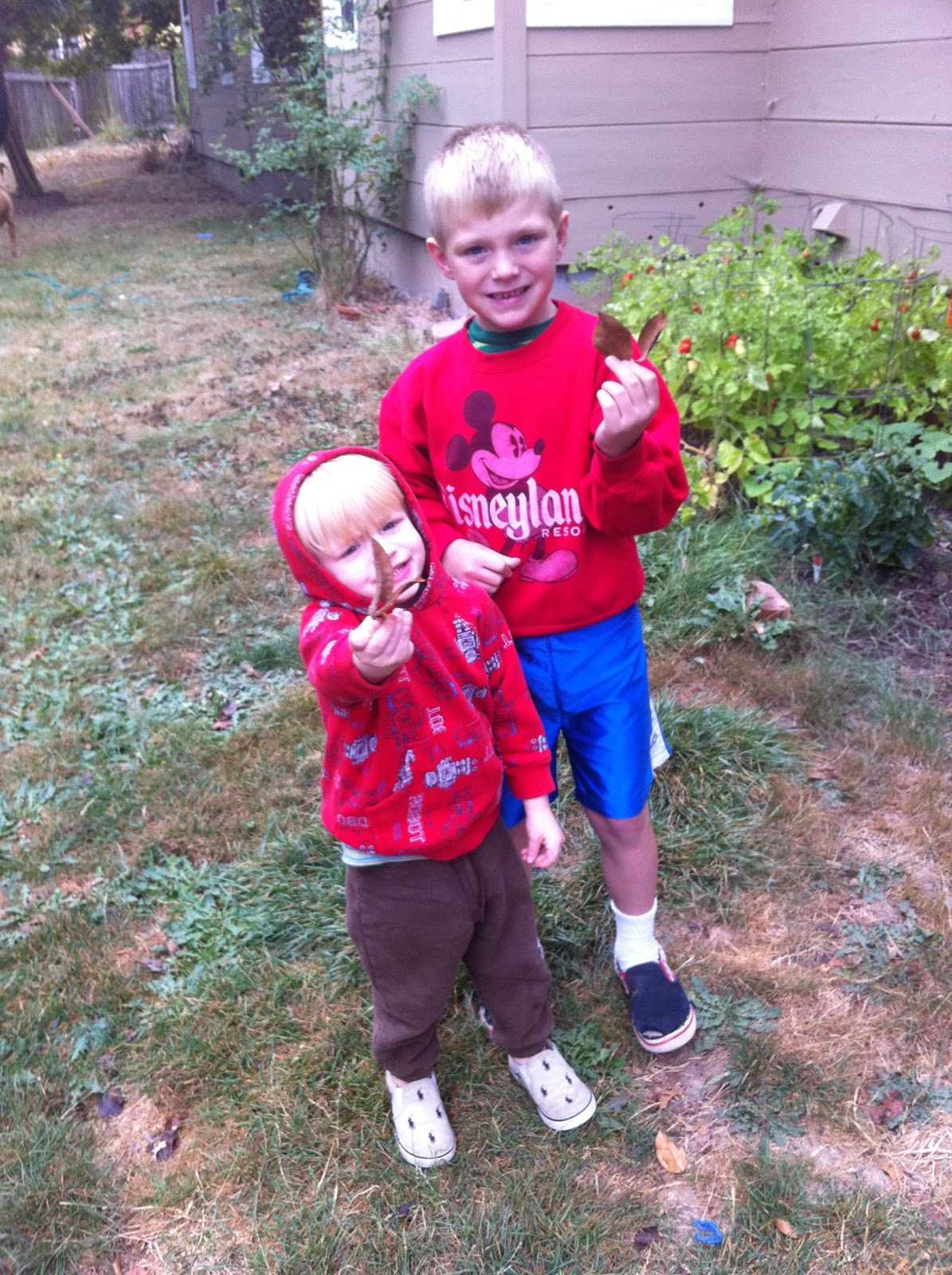 Adventures in Homemaking: Leaf Art