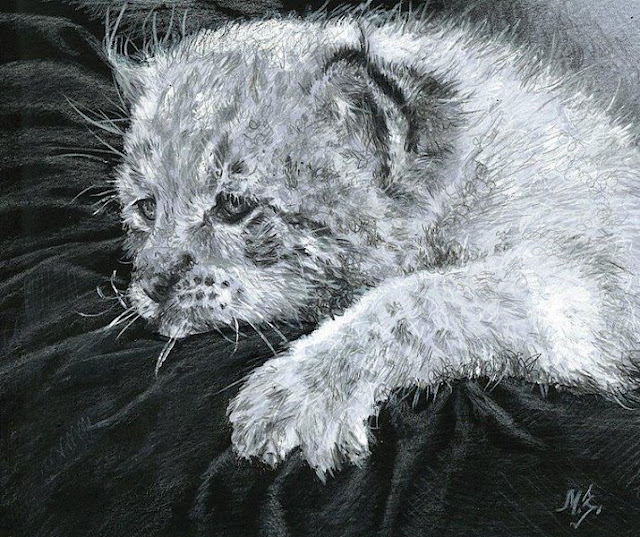 Maher Art Gallery: Maria Zeldis 1955 | Ucraina