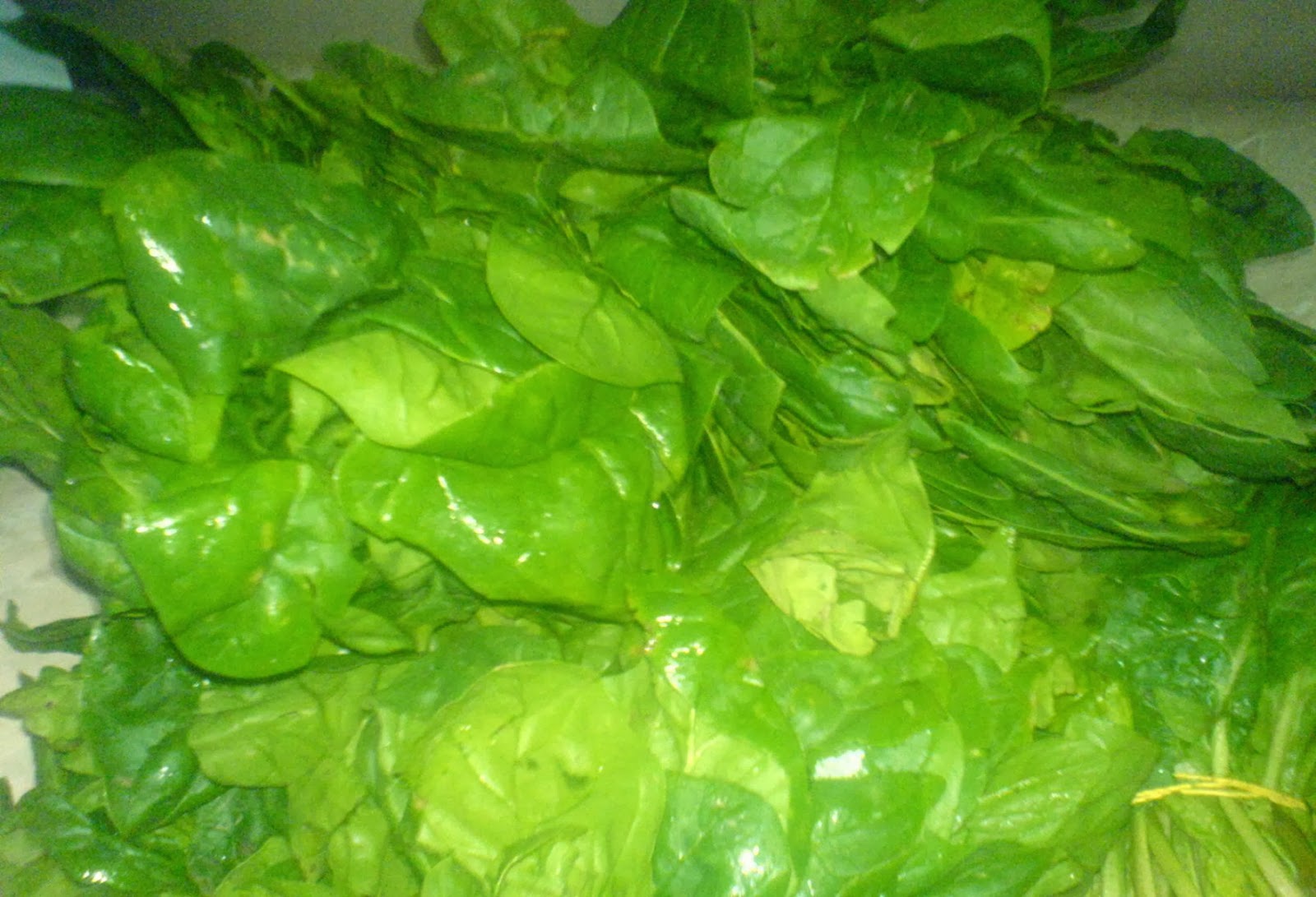 Piure de spanac | Preparatedevis.ro