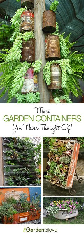 47 Very Smart DIY Gardening Tips And Ideas - Pinterest Gardening