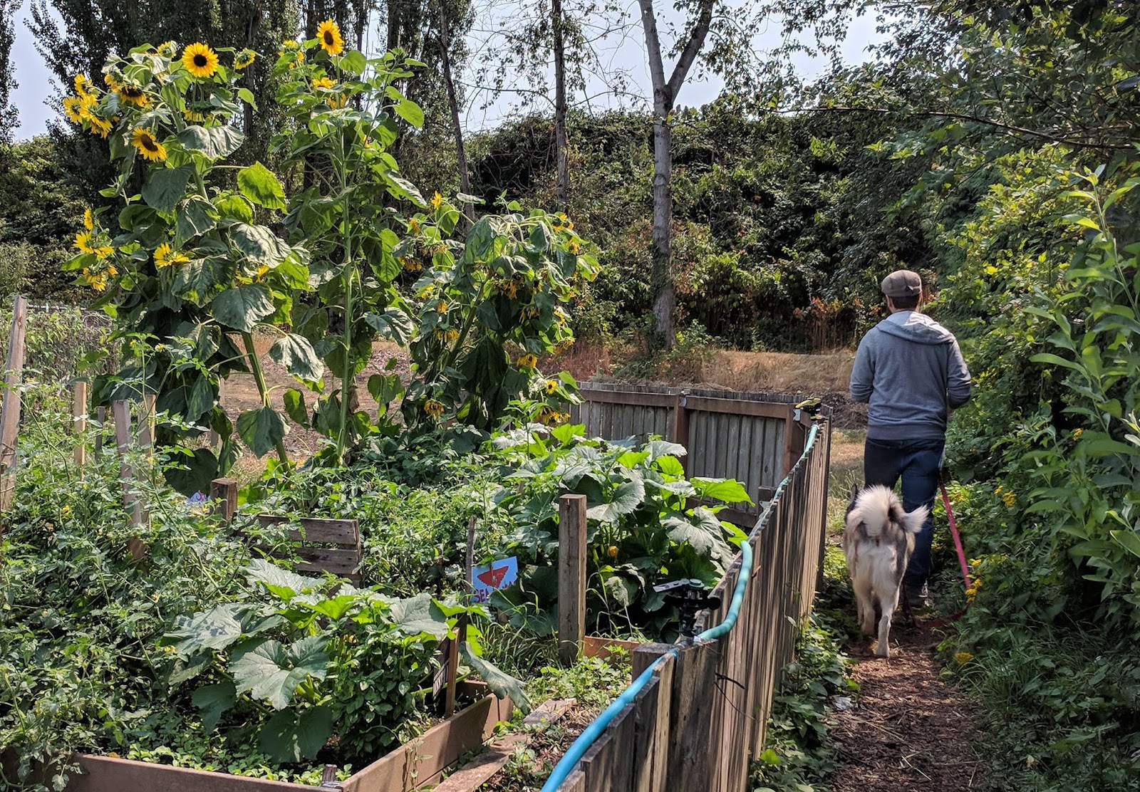 Eden By The Bay: Fall Festival at Marra Farm