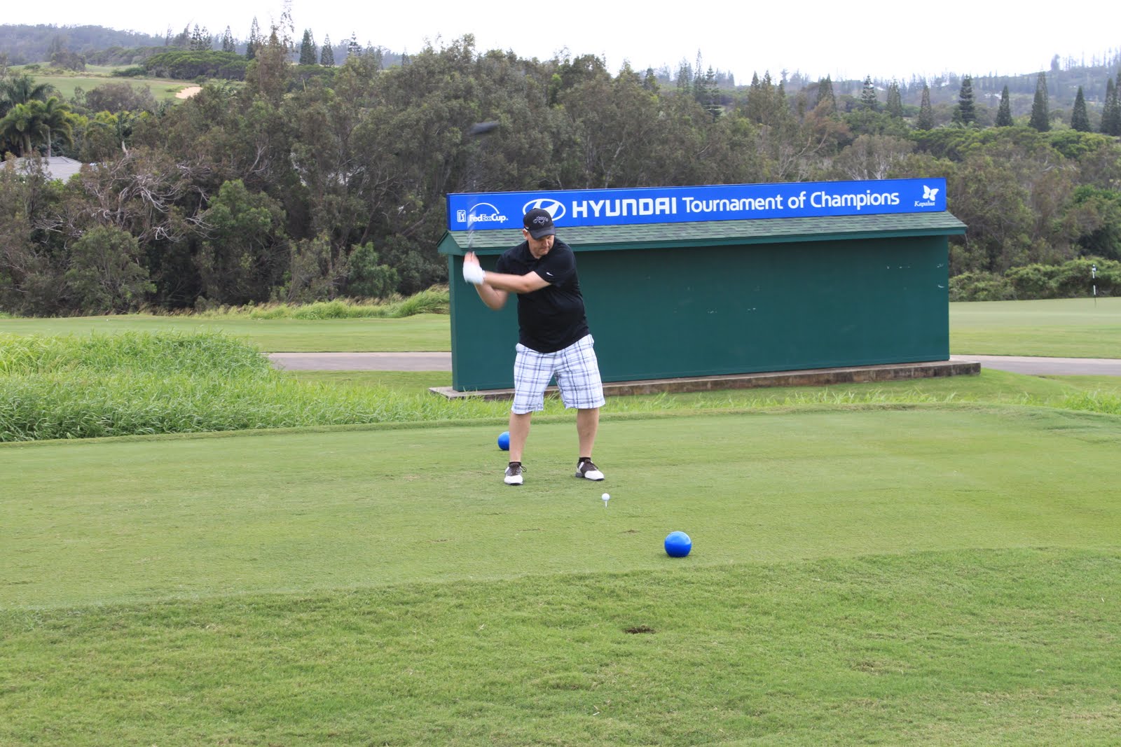 Ryan and Shannon's Rapier Wit