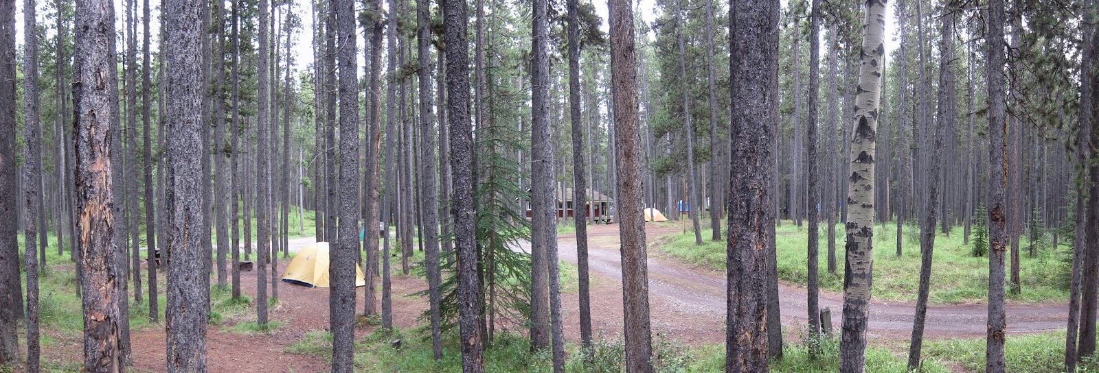 Camper Umo's Campground Reviews: Review: Two Jack Lake Main Campground ...