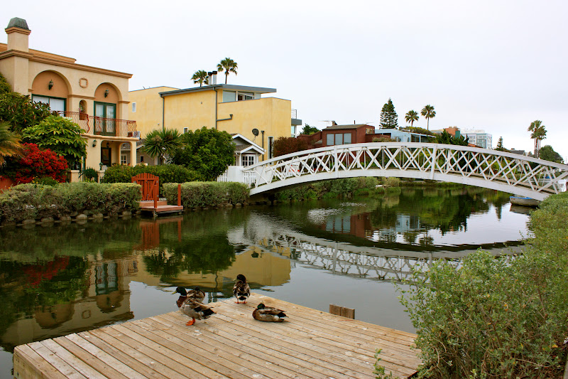 IPA395: How is going?