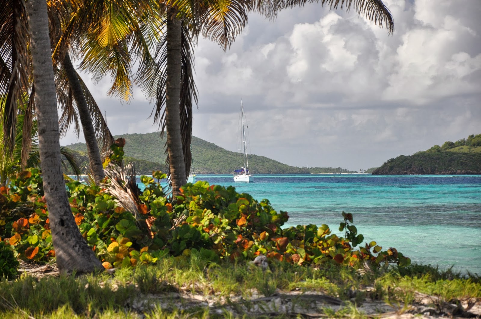 Tobago Cays!!! | La Jeannoise