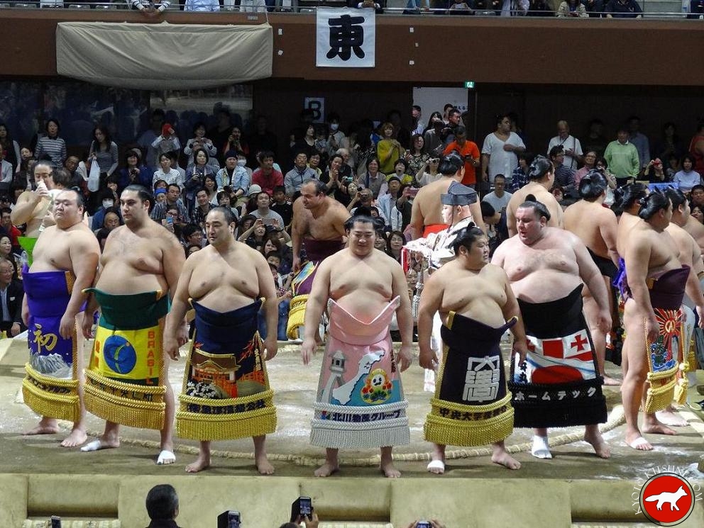 LES SUMOS DEBARQUENT A KYOTO