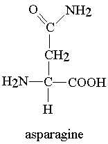 World of Biochemistry (blog about biochemistry): Amino acids with ...