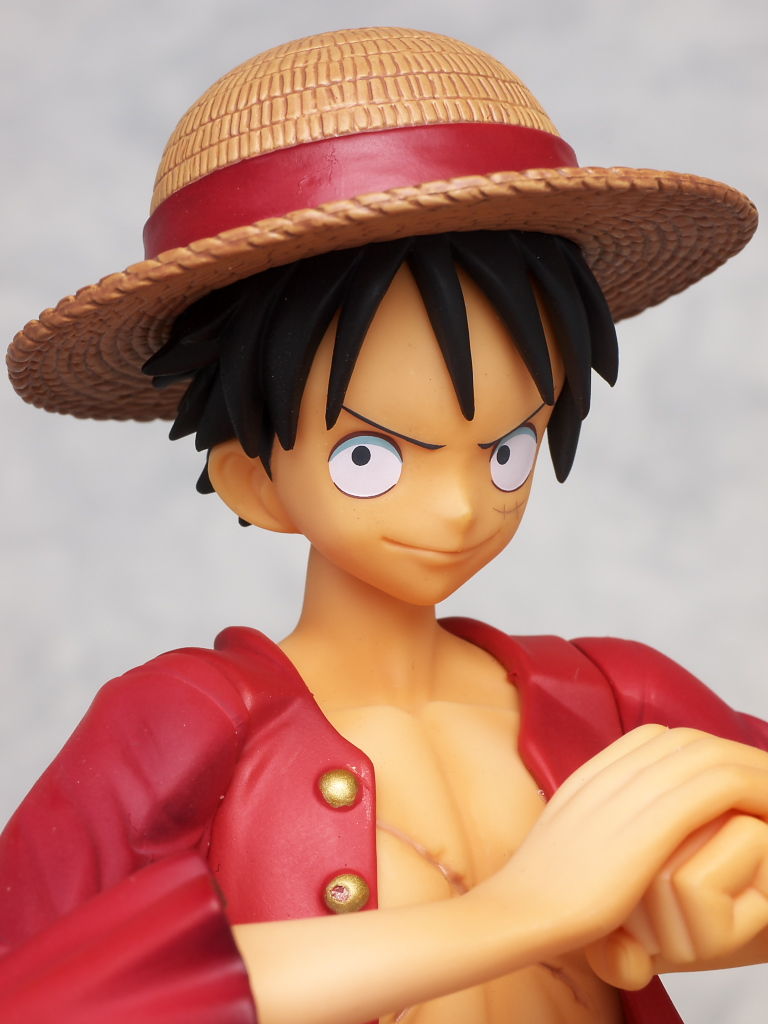 ZOOM! Monkey D. Luffy "Sailing Again"