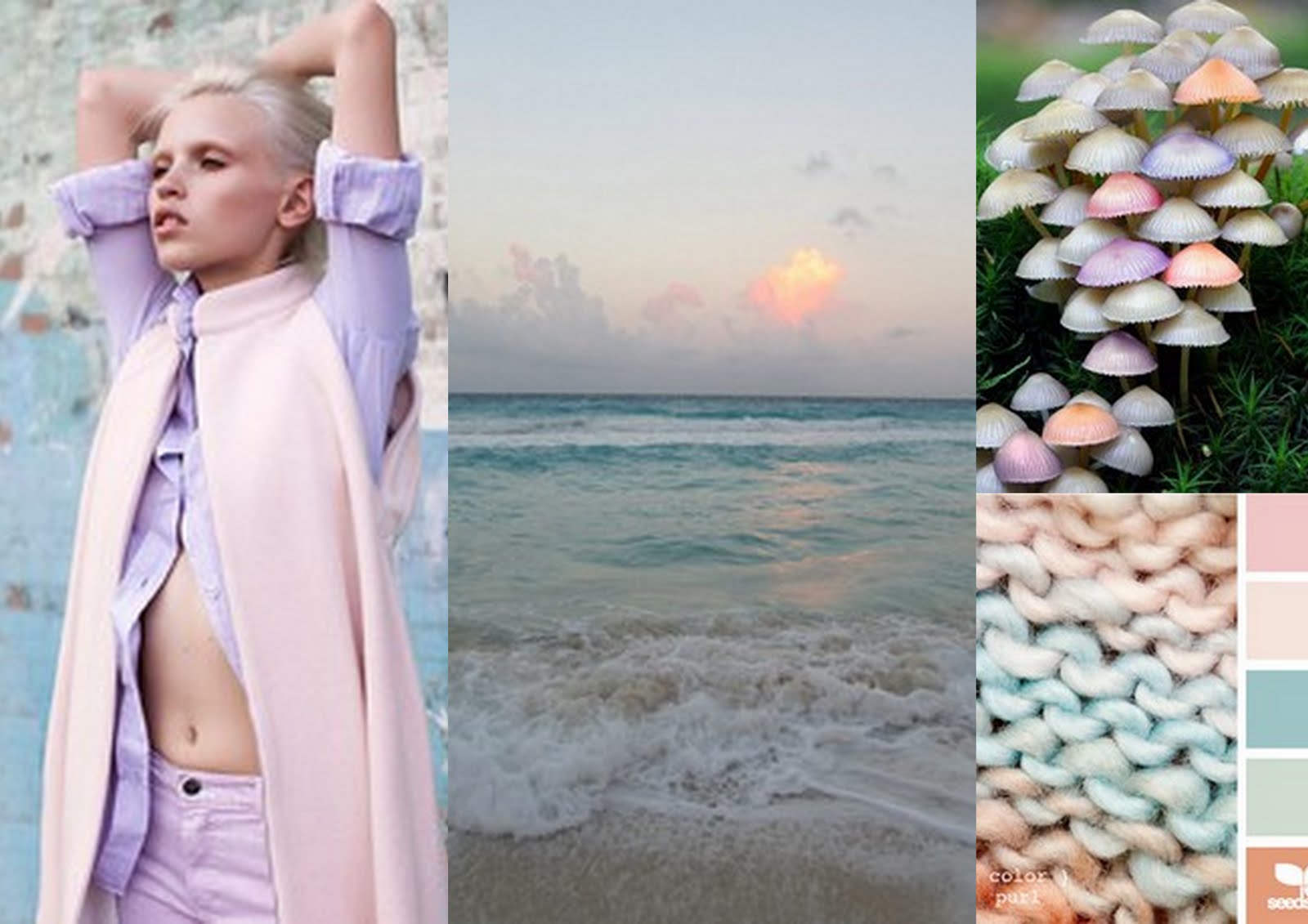 Tassels Twigs and Tastebuds: The pleasure of Pastels ~ Colour my World