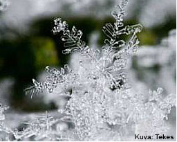 Keskuskoulun ilmiöblogi