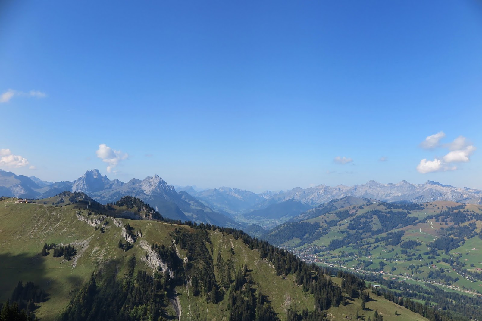 Schwarze Pfoten: Premium Panoramaweg - Rinderberg