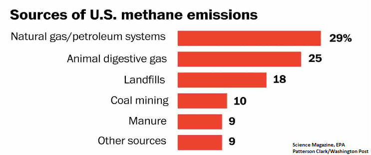 Where does methane pollution come from?