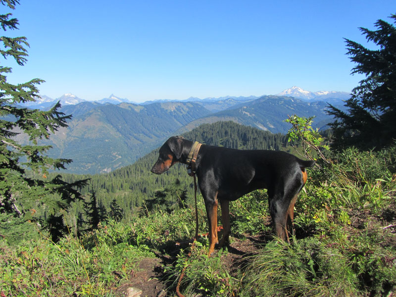 The Quilting Doberman: Johnson Ridge, Sunrise Mt, Scorpion Mt, Joan ...