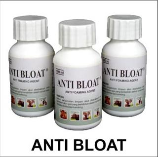 Sapi Kembung? Ini Obat dan Cara Mengatasi Bloat | Gemar Ternak dan ...