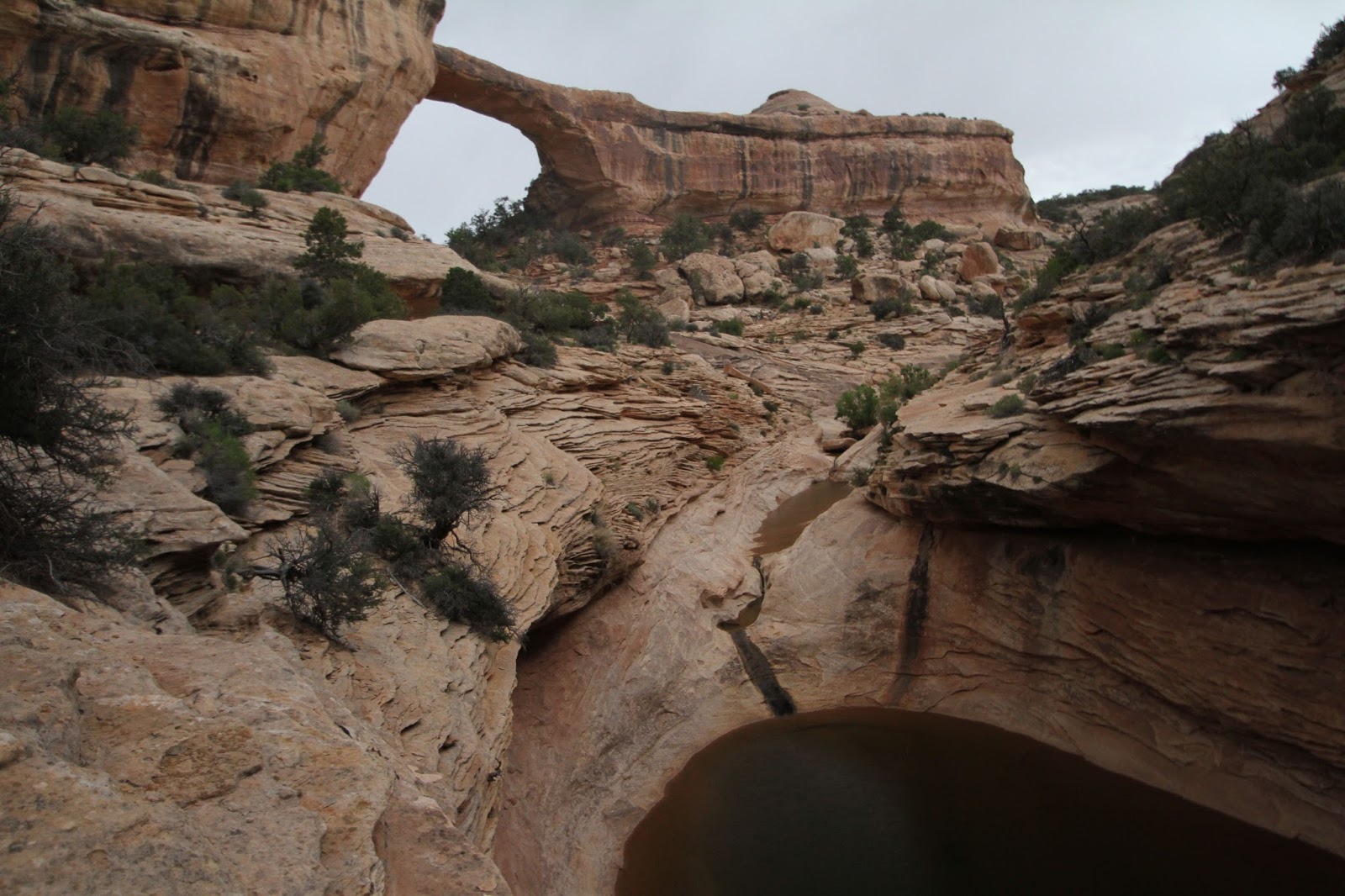 Running From Moose: Natural Bridges National Monument: A River Runs ...