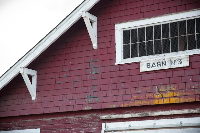 megan holmberg photography: Emma-Mae