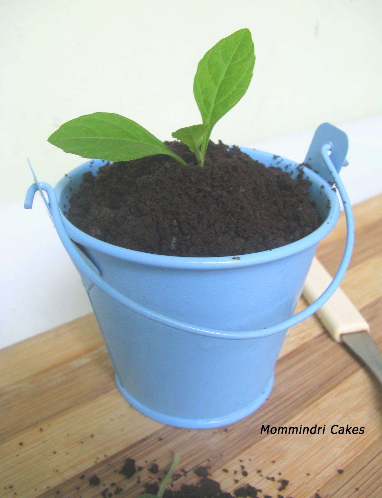 Mommindri Cakes: Chocolate Soil... It's surely edible!