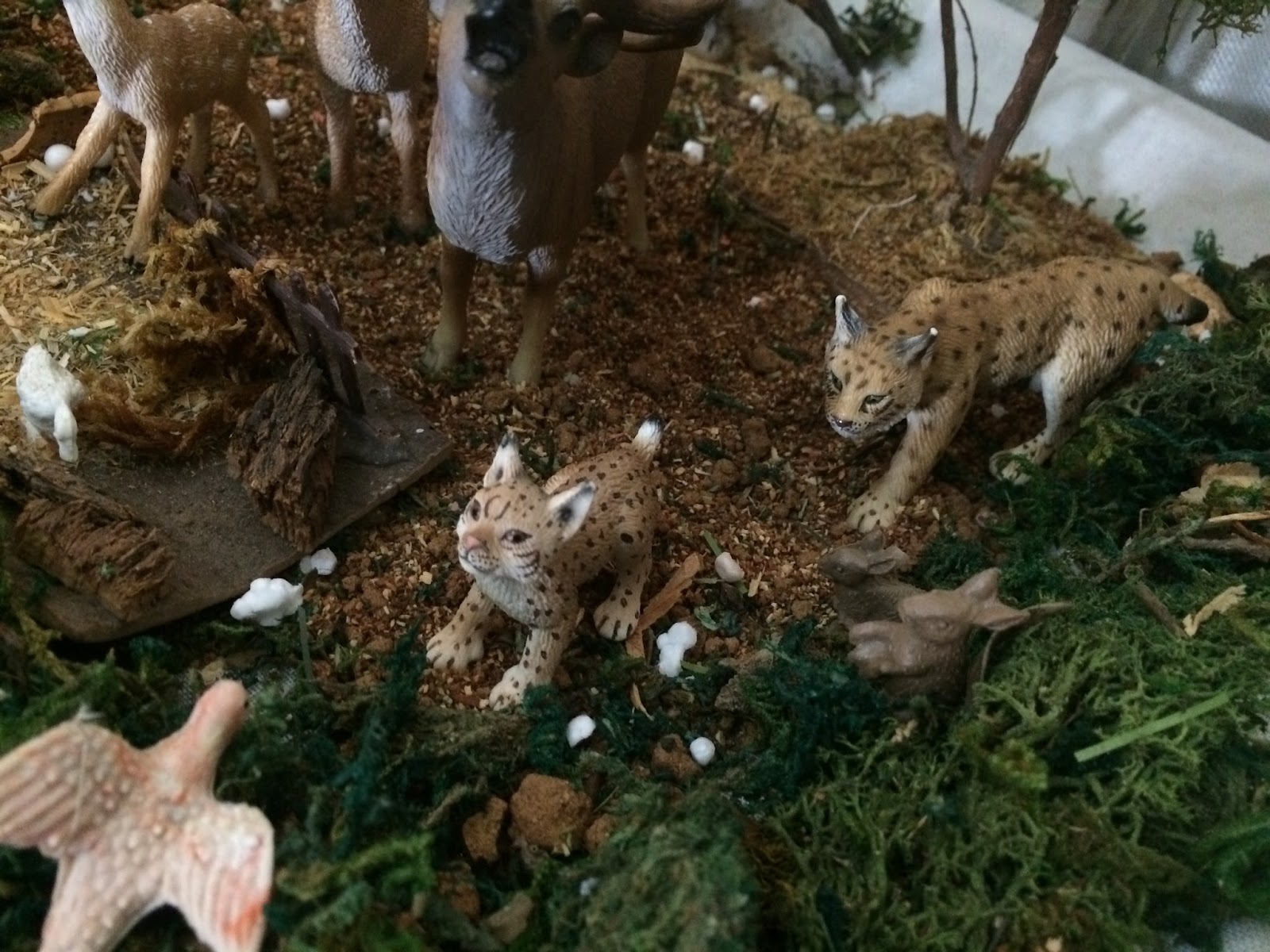 LA CIENCIA DE LA VIDA: Se armó el belén 2016