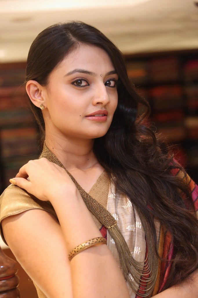 Nikitha Narayan Cute Photos in Saree - Media Updaters