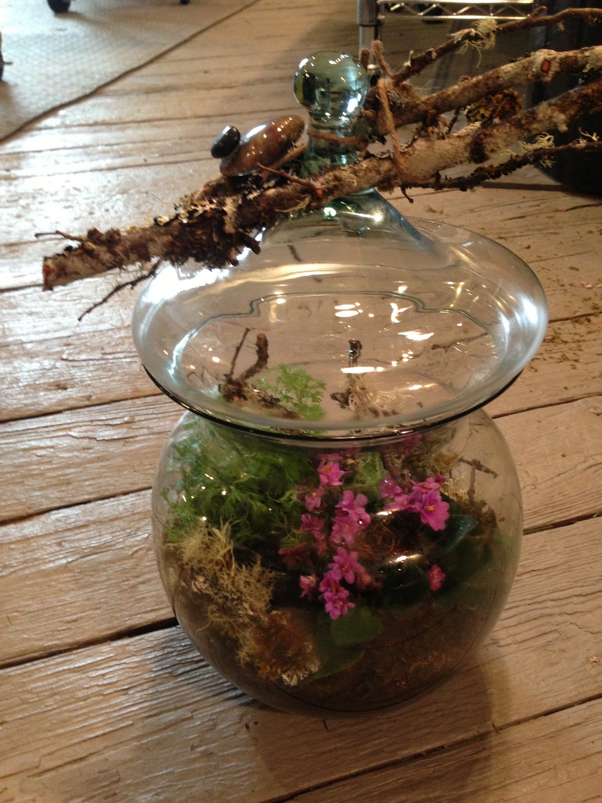 flower classroom: Terrarium & Kokedama Class Saturday June 22nd 10-2