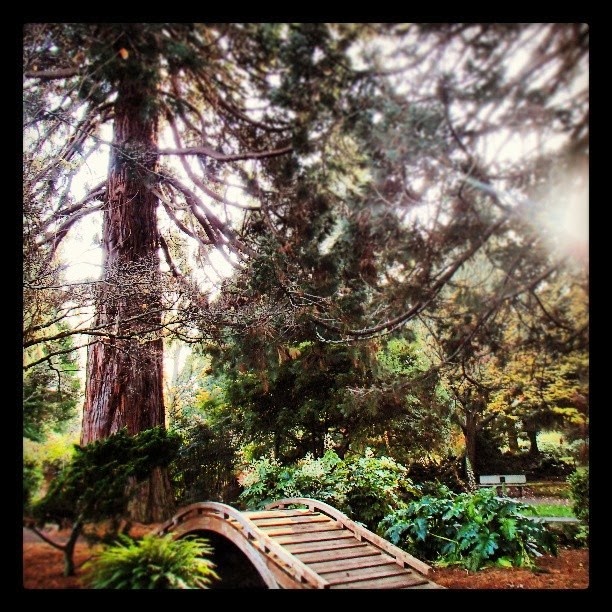ExtraHyperActive: Exploring And Hiking In Point Defiance Park, Tacoma, WA