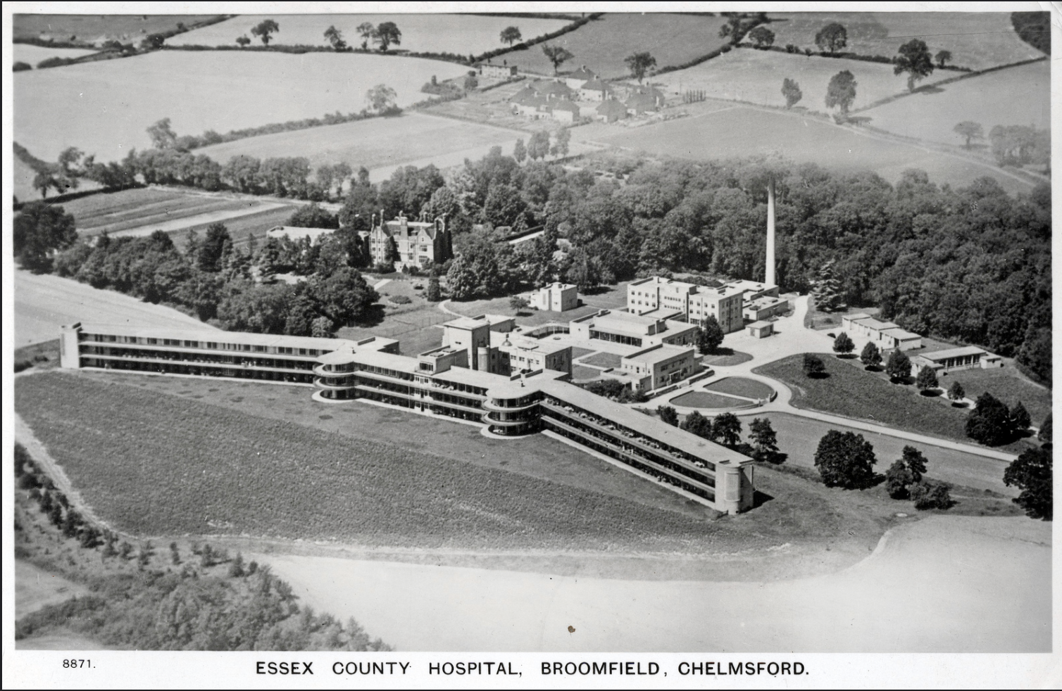 The Peregrinating Penguin: A toddle through 20th and 21st century ...