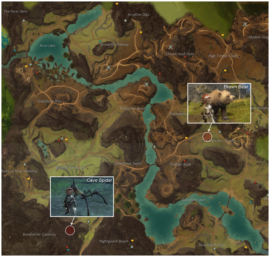 Guild Wars 2 Junkie: Pet Locations