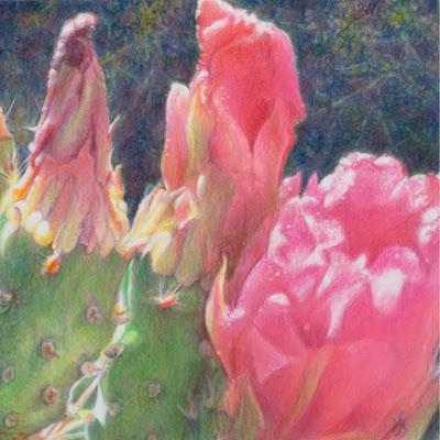 RMSBA Gallery Featuring Heidi Snyder