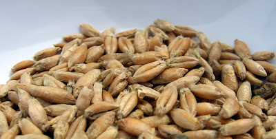 Farm share stories: Triticale