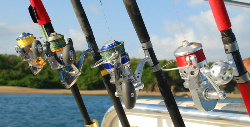 Wild Fishing Anglers: Help! Broken reels