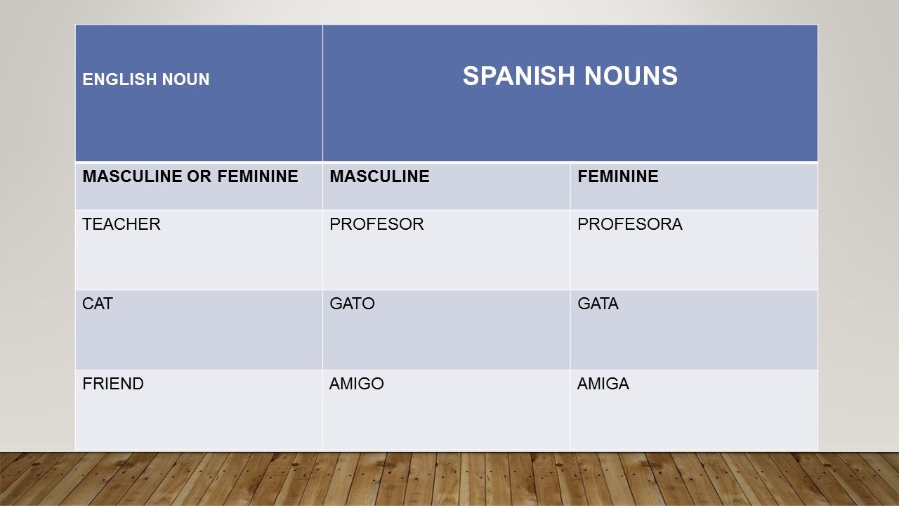 SPANISH CLASE!: ARTICLES AND NOUNS