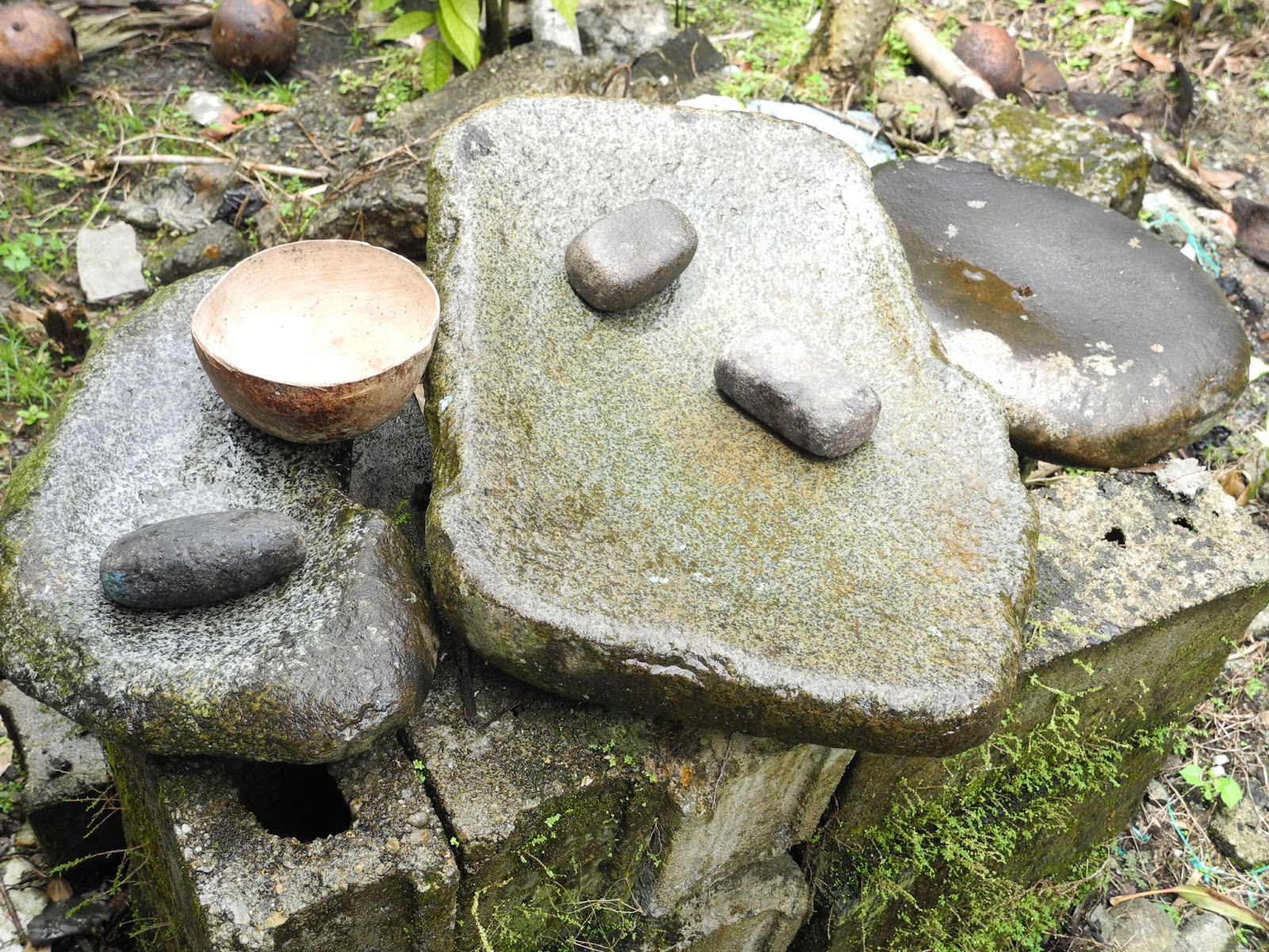 El Chocó - Una Cultura de Resistencia: LA VIVIENDA TRADICIONAL CHOCOANA