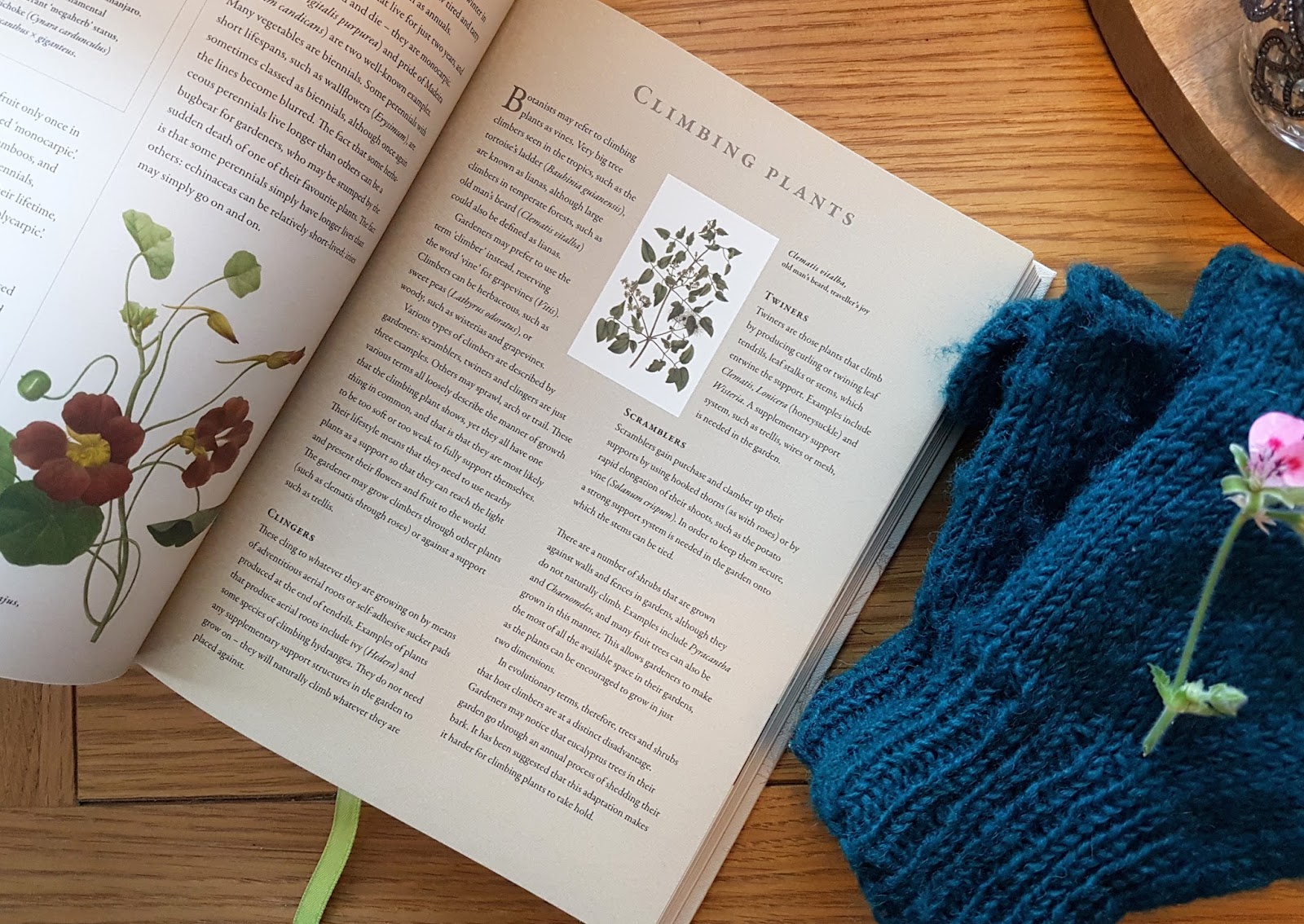 Book Review - RHS Botany for Gardeners