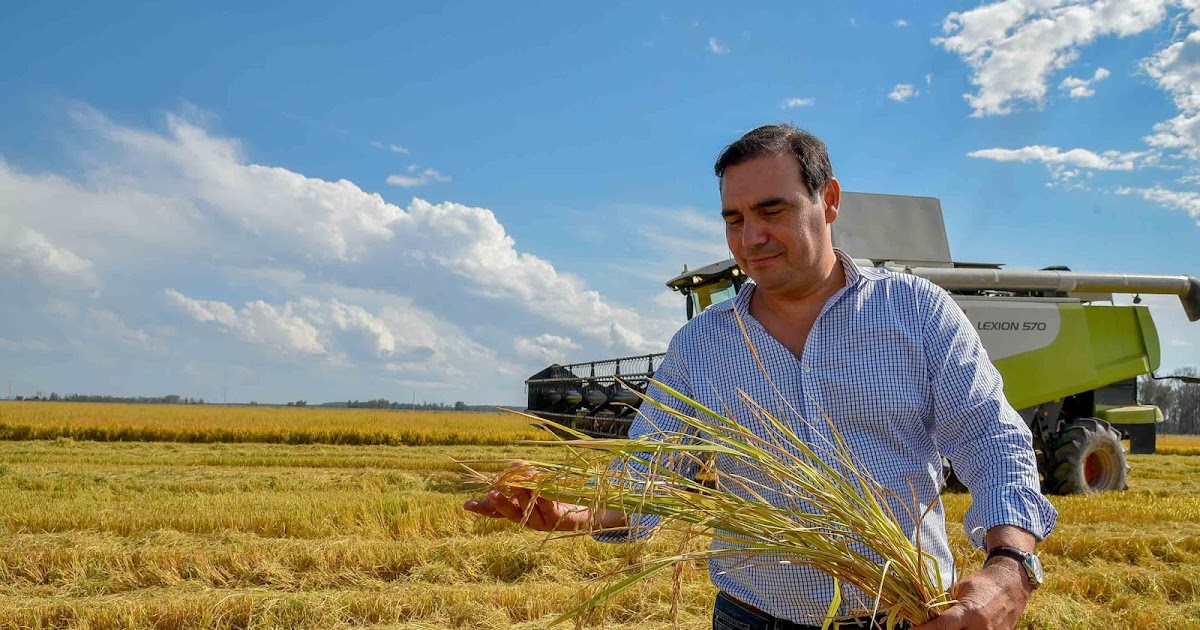 Cosechar lo que se siembra