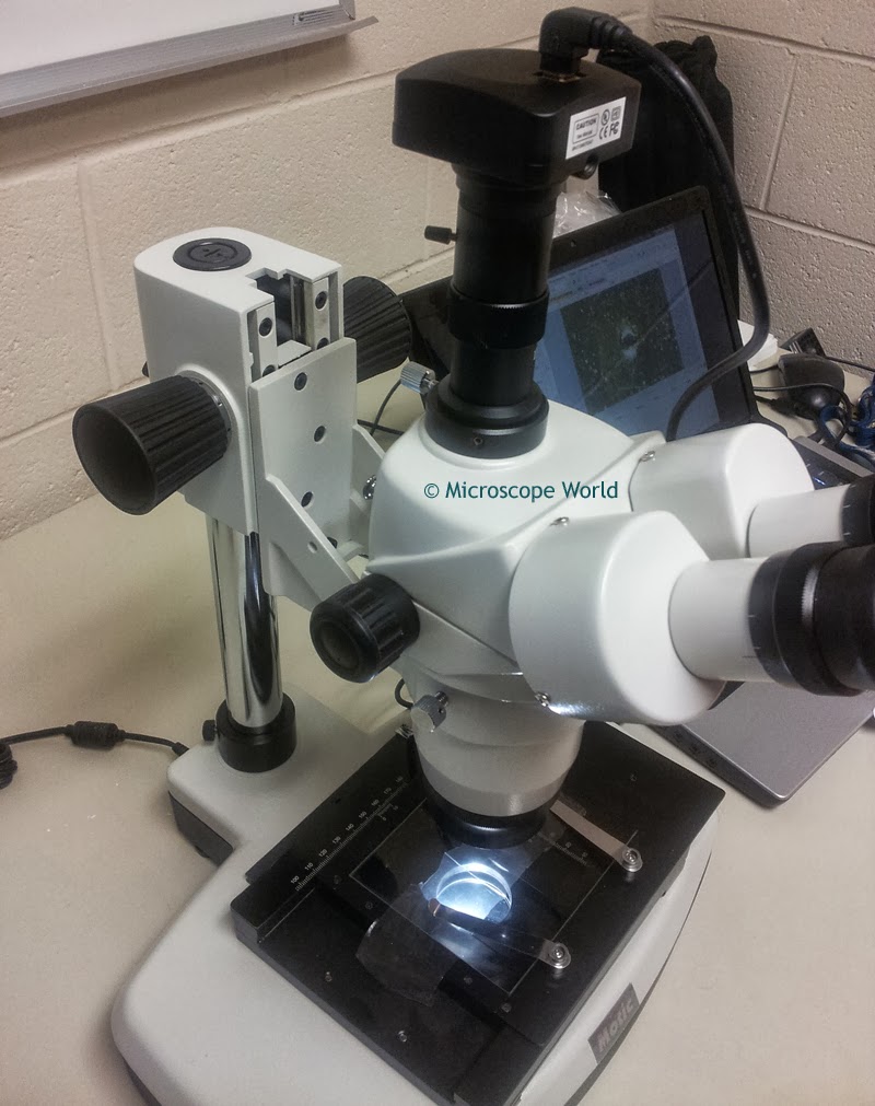 Microscope World Blog: Plastic Film Under the Microscope