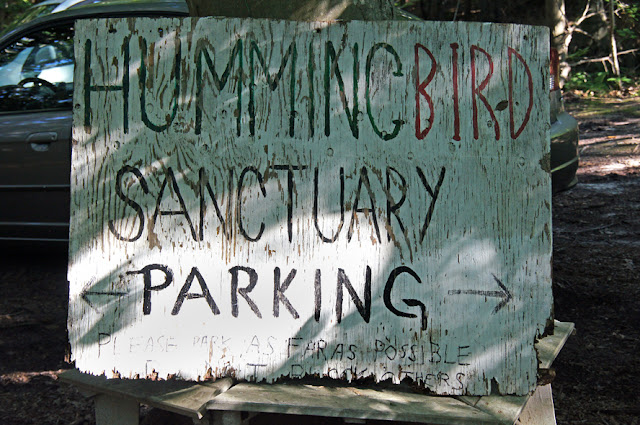 A Long Island Summer In Pictures: THE BAITING HOLLOW HUMMINGBIRD SANCTUARY