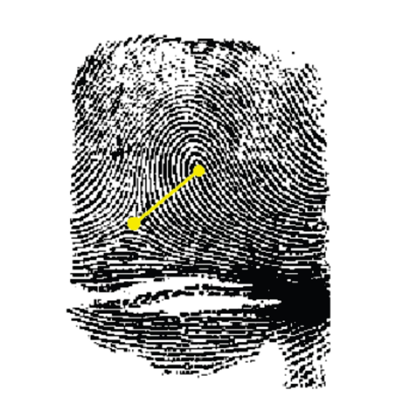 FISIOLOGÍA DEPORTIVA PARA PRINCIPIANTES: agosto 2015